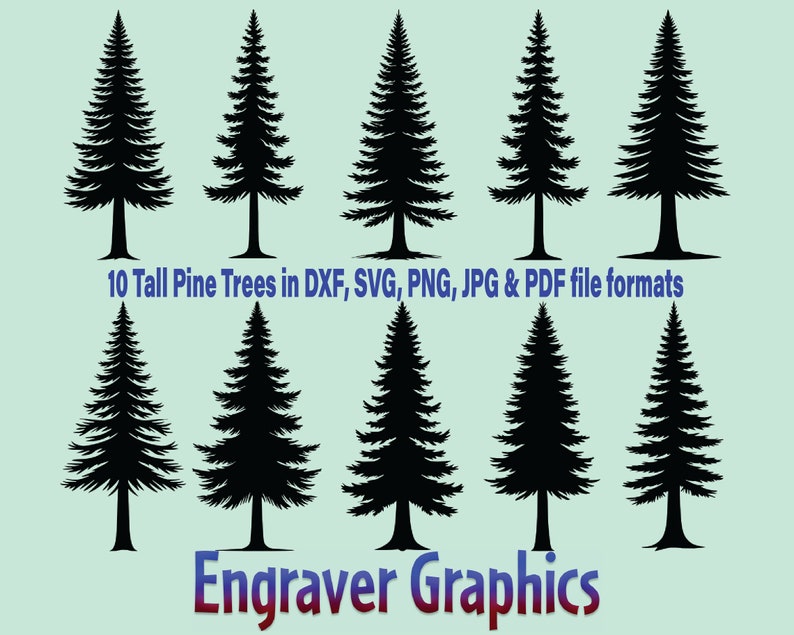 10 Tall Pine Tree Vector Silhouette Graphics in Dxf, Svg, Png, Jpg ...
