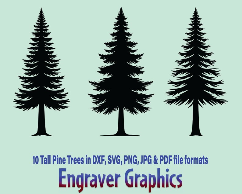 10 Tall Pine Tree Vector Silhouette Graphics in Dxf, Svg, Png, Jpg ...