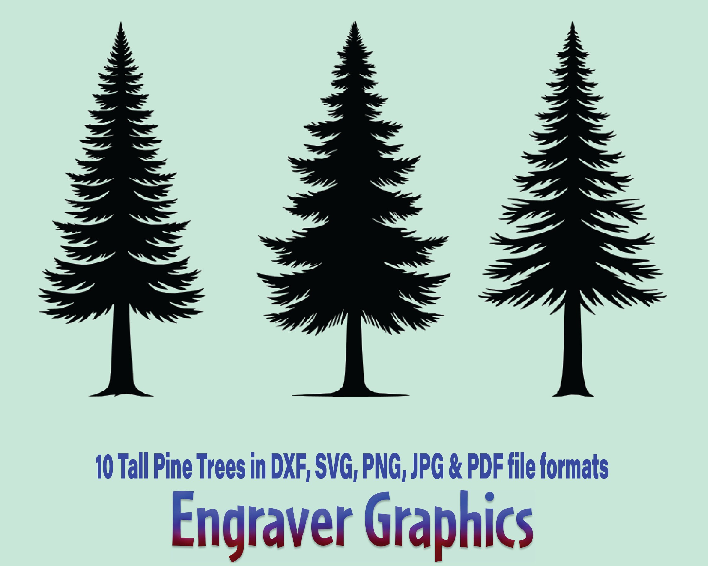 10 Tall Pine Tree Vector Silhouette Graphics in Dxf, Svg, Png, Jpg ...