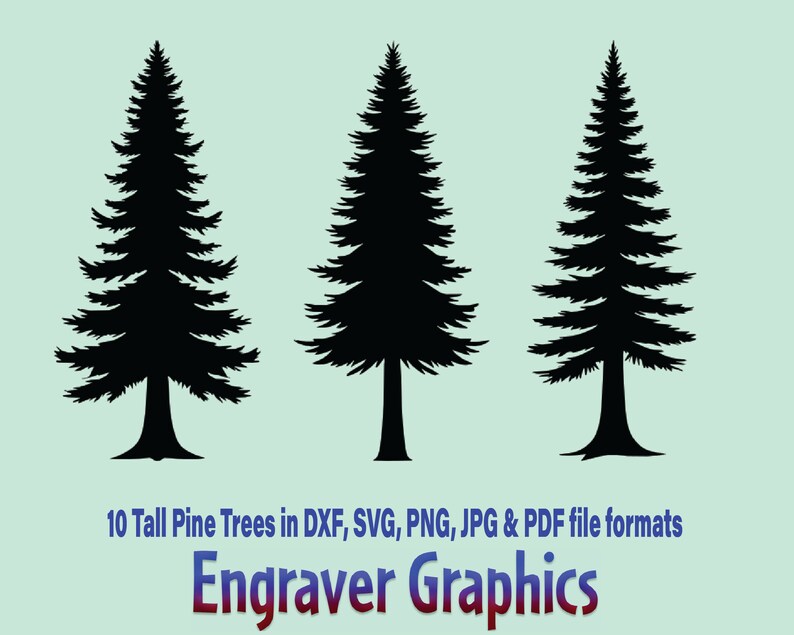 10 Tall Pine Tree Vector Silhouette Graphics in Dxf, Svg, Png, Jpg ...