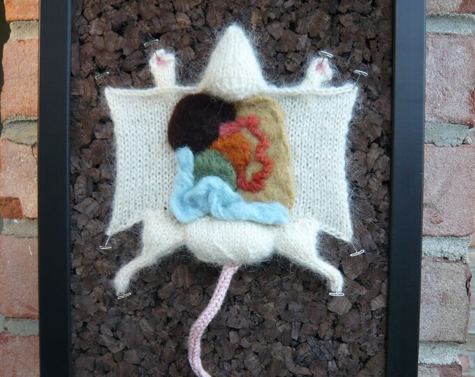 Lab Rat PDF Knitting Pattern - Etsy