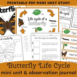 Painted Lady Butterfly Life Cycle Unit: Homeschool Nature Study ...