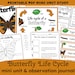 Painted Lady Butterfly Life Cycle Unit: Homeschool Nature Study ...