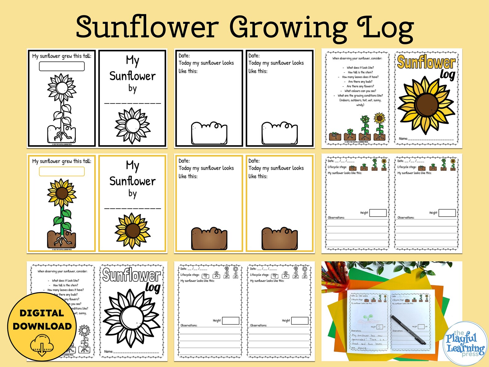 Sunflower Plant Life Cycle Unit and Sunflower Growing Log for ...