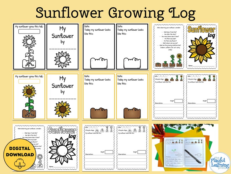 Sunflower Plant Life Cycle Unit and Sunflower Growing Log for ...