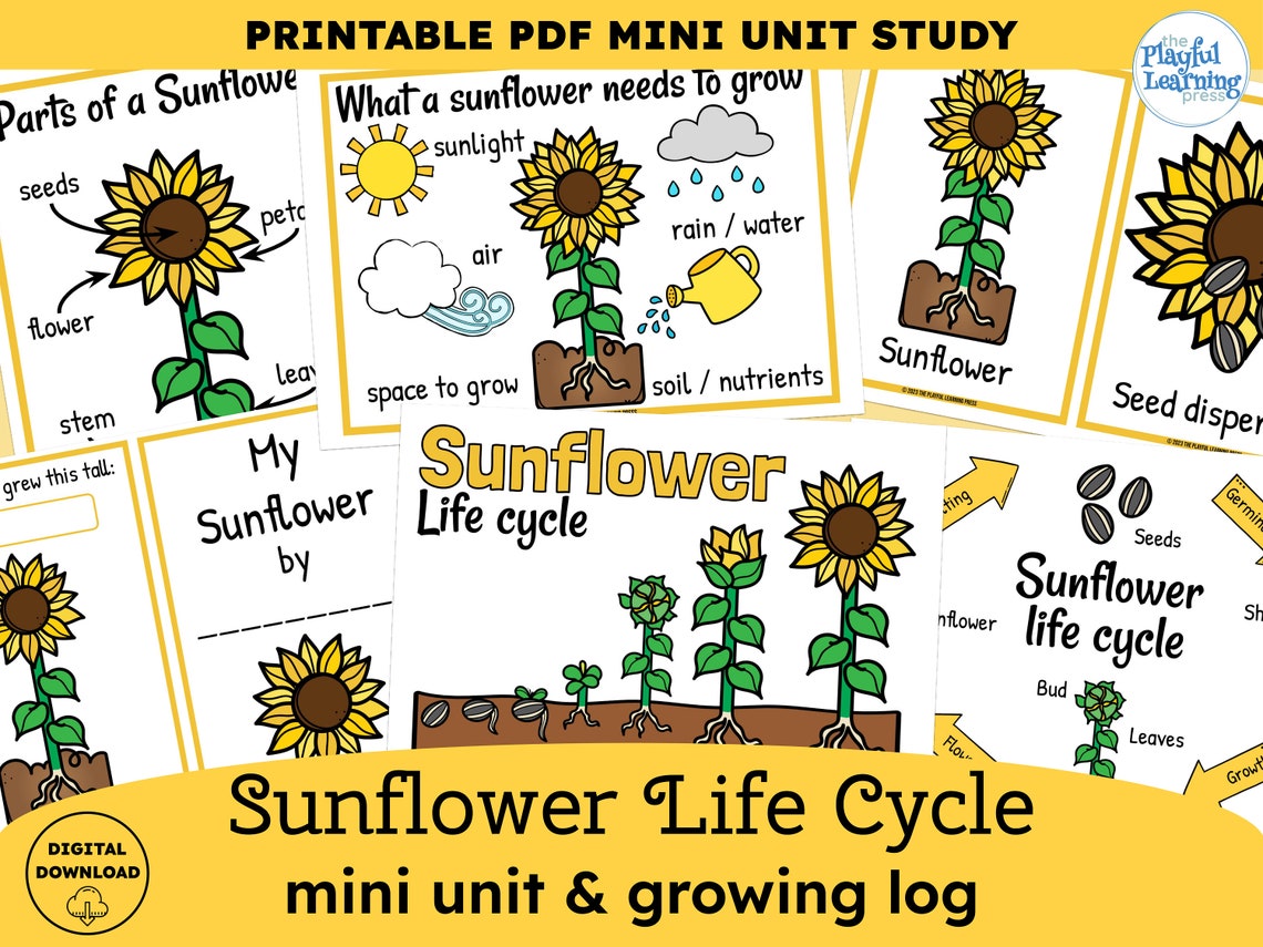Sunflower Plant Life Cycle Unit and Sunflower Growing Log for ...