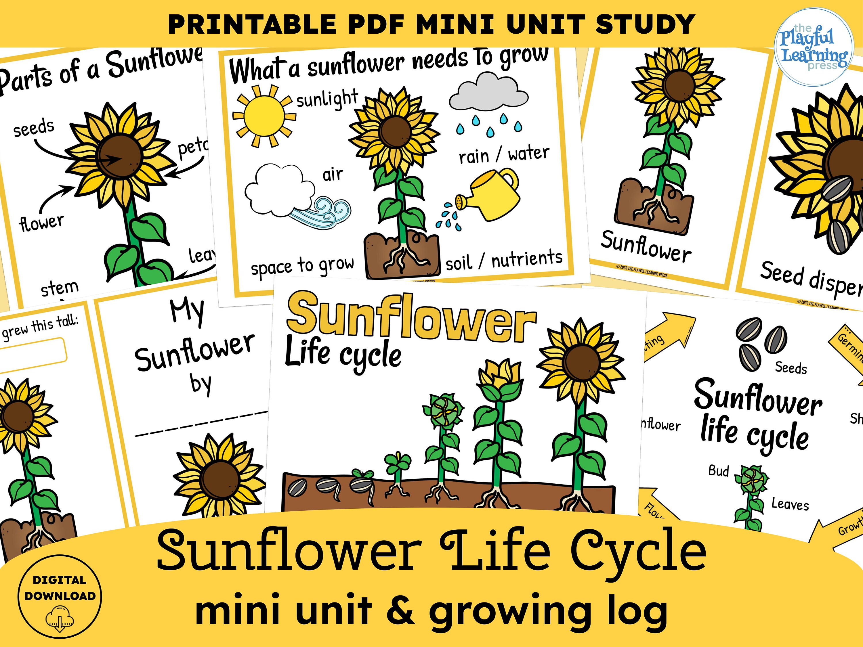 Sunflower Plant Life Cycle Unit and Sunflower Growing Log for ...