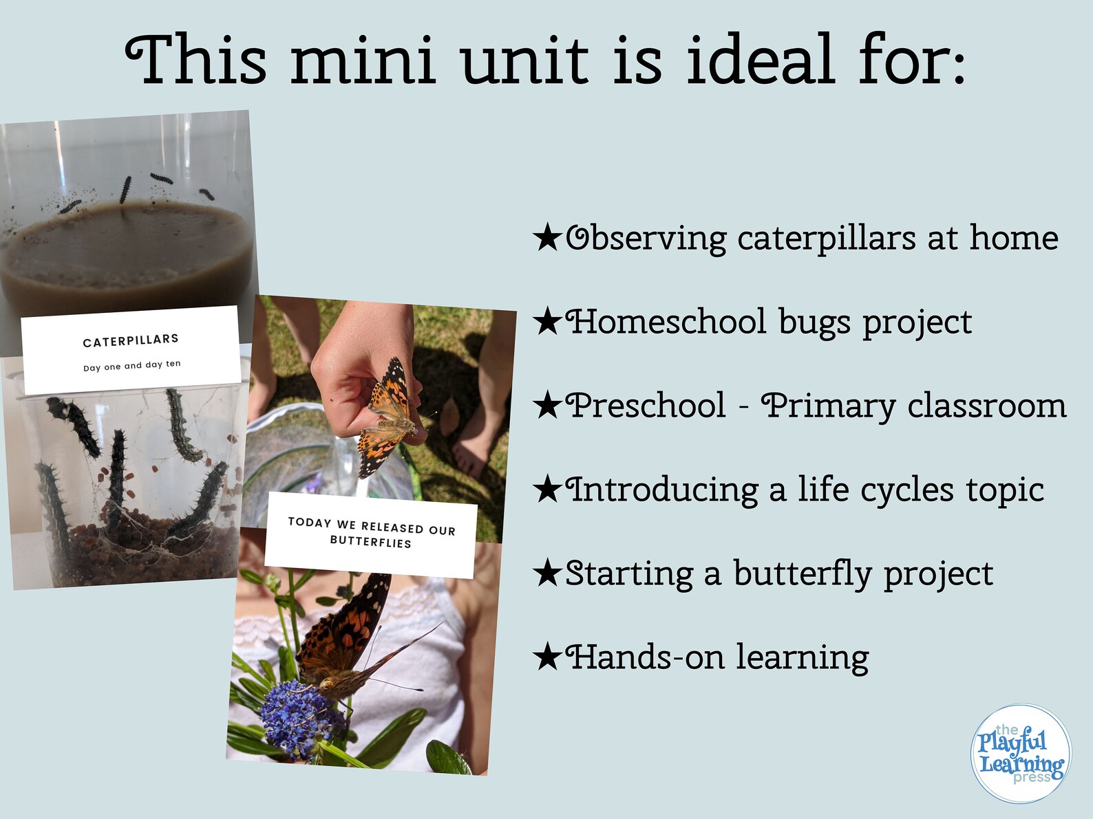 Painted Lady Butterfly Life Cycle Unit and Caterpillar Observation ...