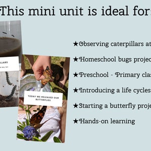 Painted Lady Butterfly Life Cycle Unit and Caterpillar Observation ...