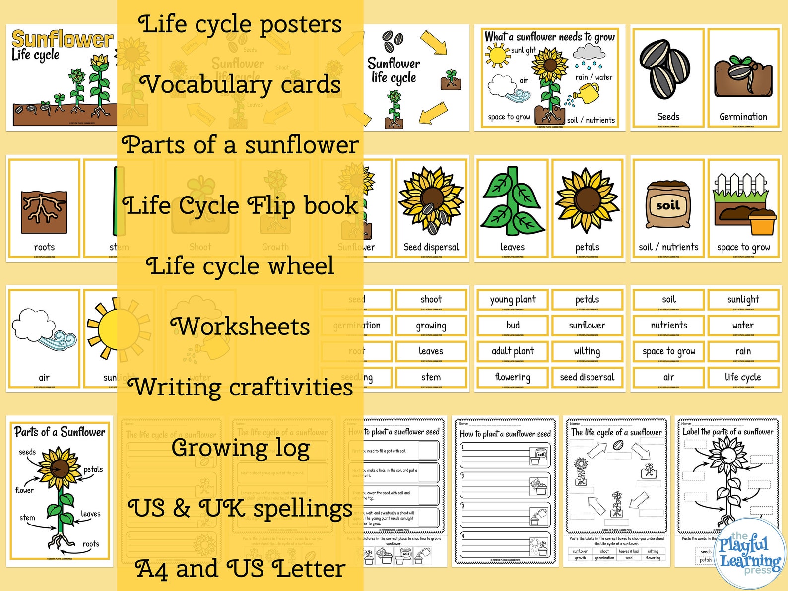 Sunflower Plant Life Cycle Unit and Sunflower Growing Log for ...