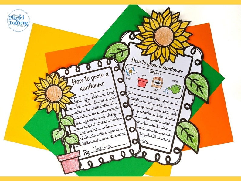 Sunflower Plant Life Cycle Unit and Sunflower Growing Log for ...