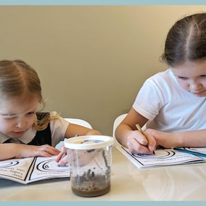 Painted Lady Butterfly Life Cycle Unit: Homeschool Nature Study ...