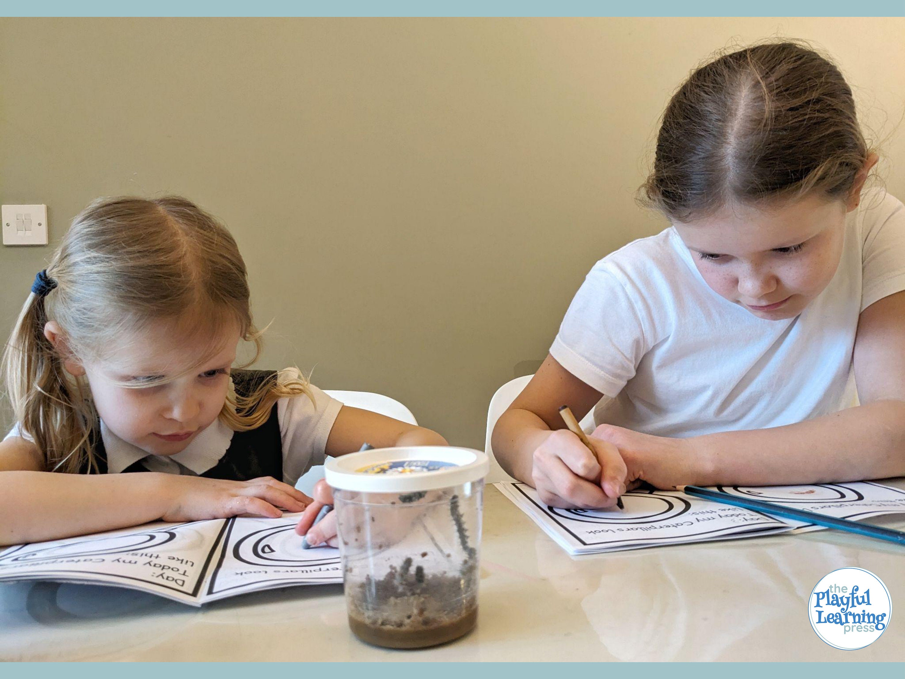 Painted Lady Butterfly Life Cycle Unit and Caterpillar Observation ...