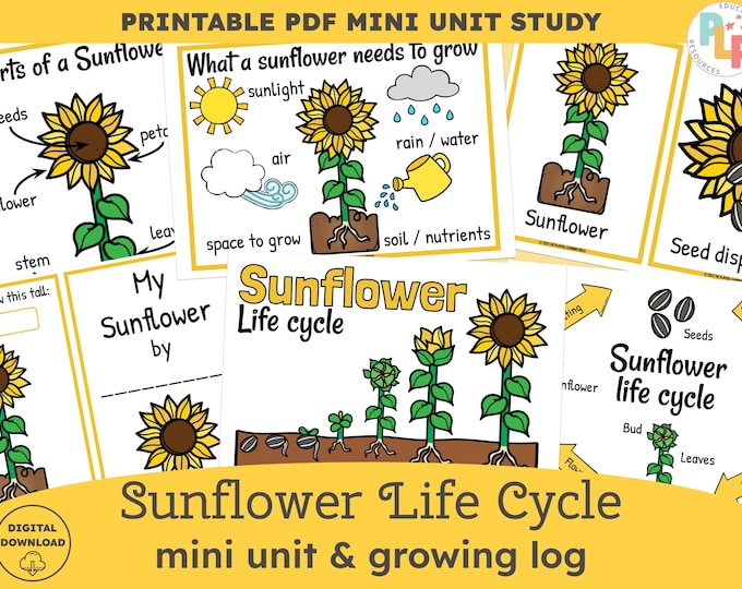 Life Cycle of a Plant, Homeschool Science Unit Activity, Sequencing ...