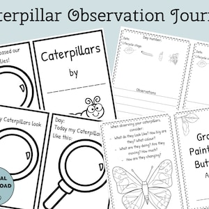 Painted Lady Butterfly Life Cycle Unit and Caterpillar Observation ...