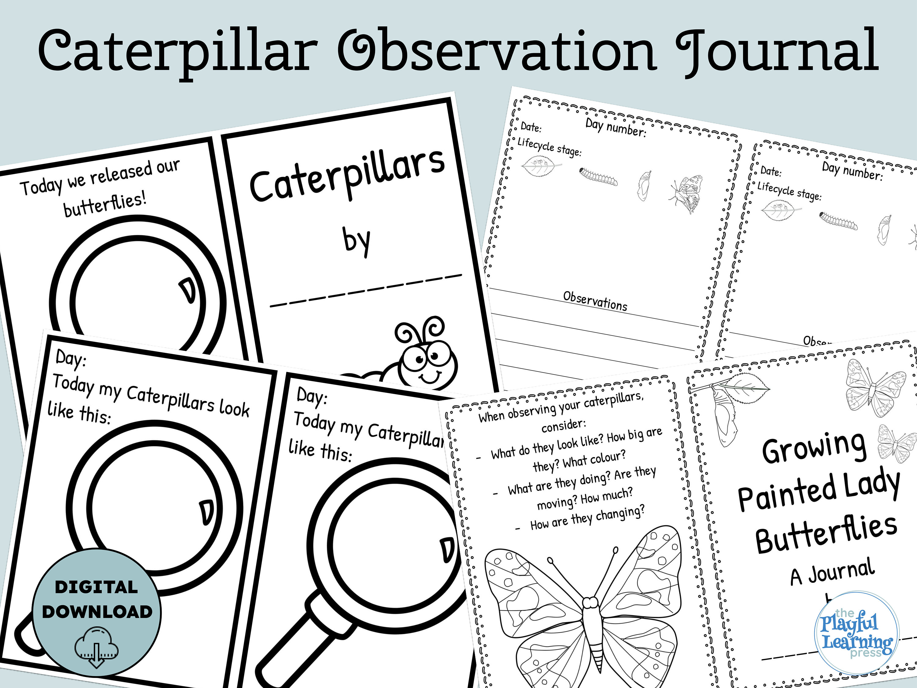 Painted Lady Butterfly Life Cycle Unit: Homeschool Nature Study ...