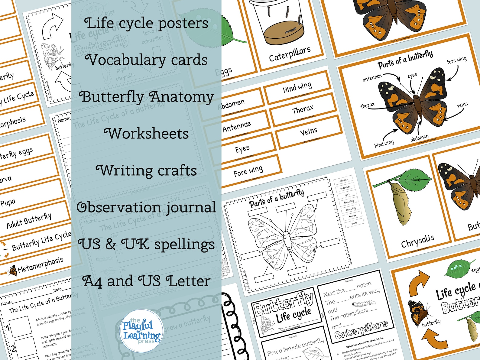 Painted Lady Butterfly Life Cycle Unit and Caterpillar Observation ...