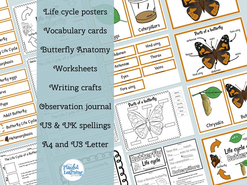 Painted Lady Butterfly Life Cycle Unit and Caterpillar Observation ...
