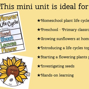 Sunflower Plant Life Cycle Unit and Sunflower Growing Log for ...