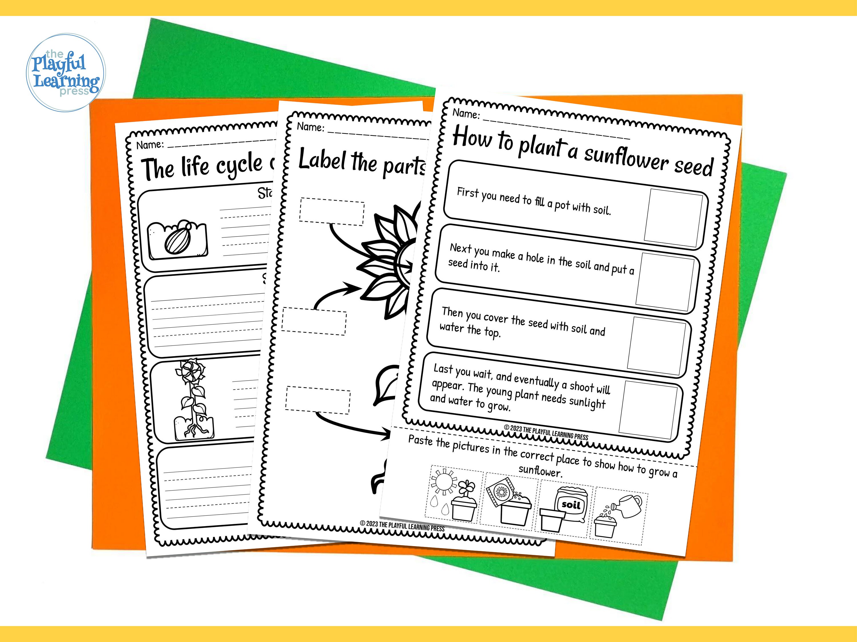 Sunflower Plant Life Cycle Unit and Sunflower Growing Log for ...