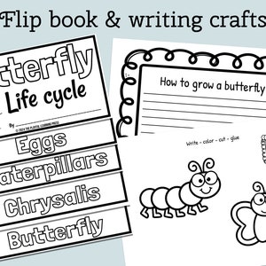 Painted Lady Butterfly Life Cycle Unit and Caterpillar Observation ...