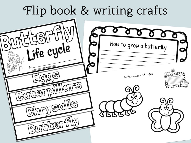 Painted Lady Butterfly Life Cycle Unit and Caterpillar Observation ...