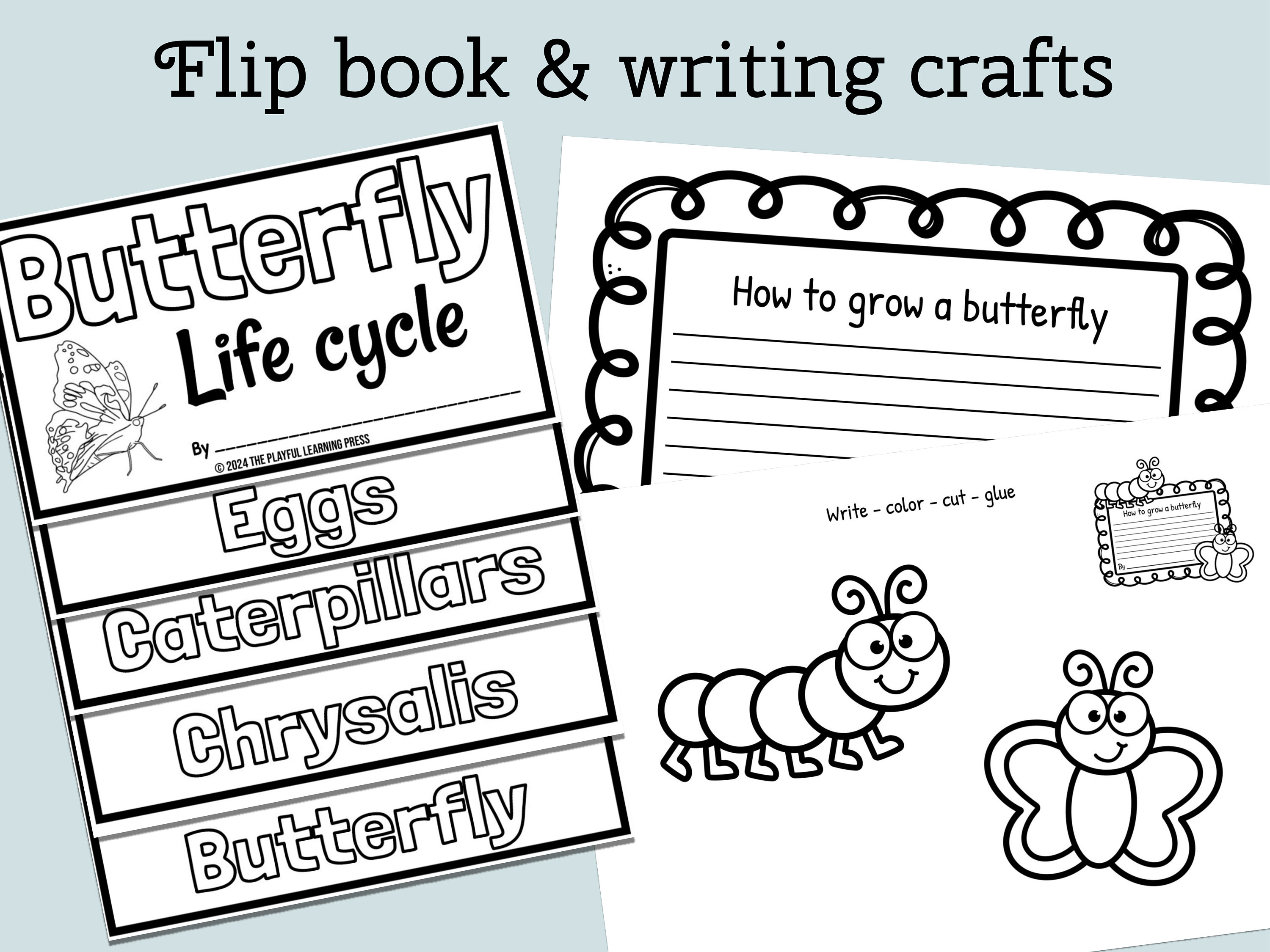 Painted Lady Butterfly Life Cycle Unit and Caterpillar Observation ...