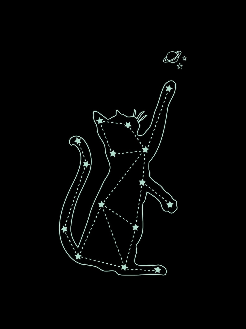 Cat Constellation Mens T Shirt Cat Lover Gift for Men | Etsy
