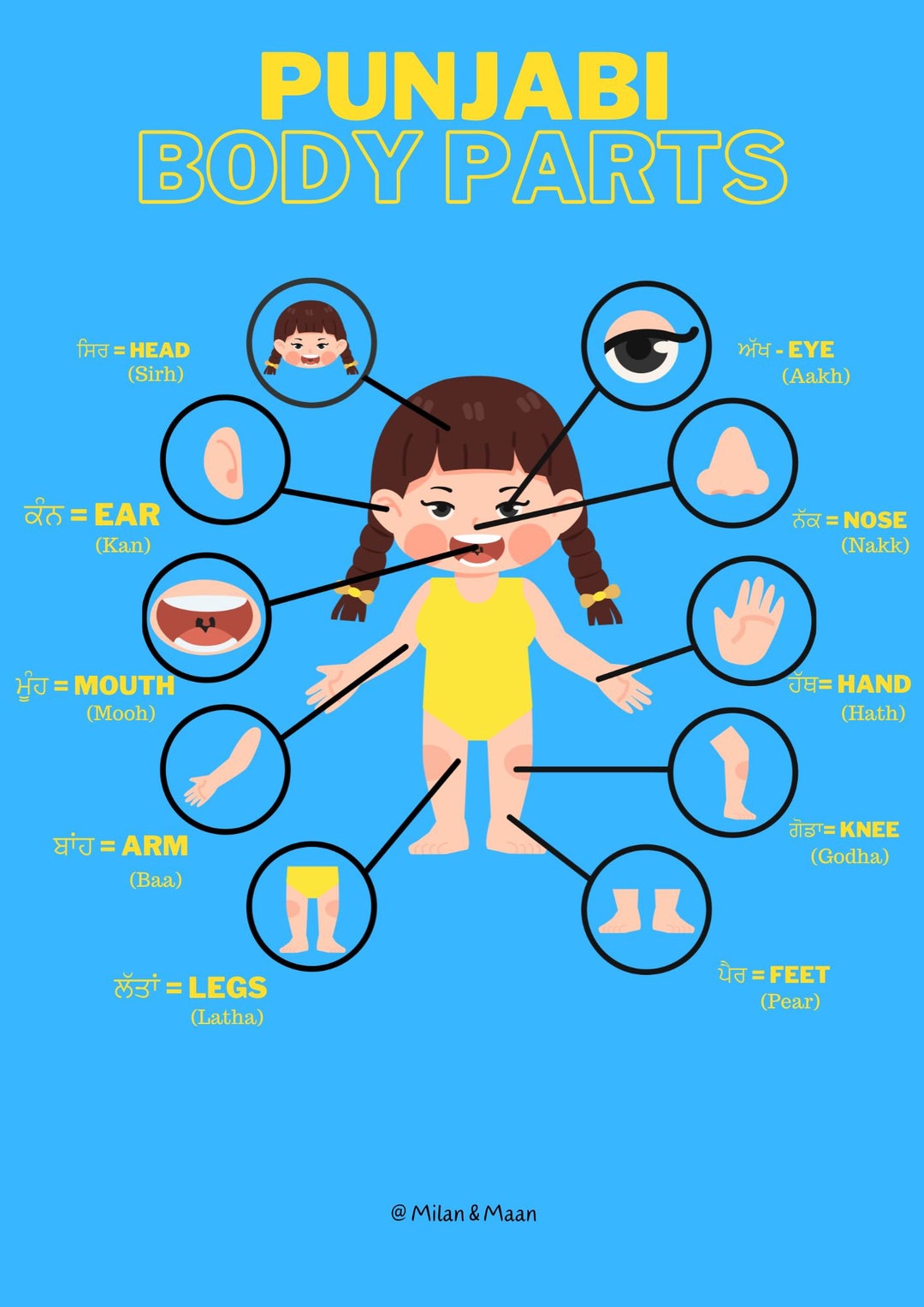 A3 Punjabi Body Parts Poster for Children, Digital, Learn Punjabi ...