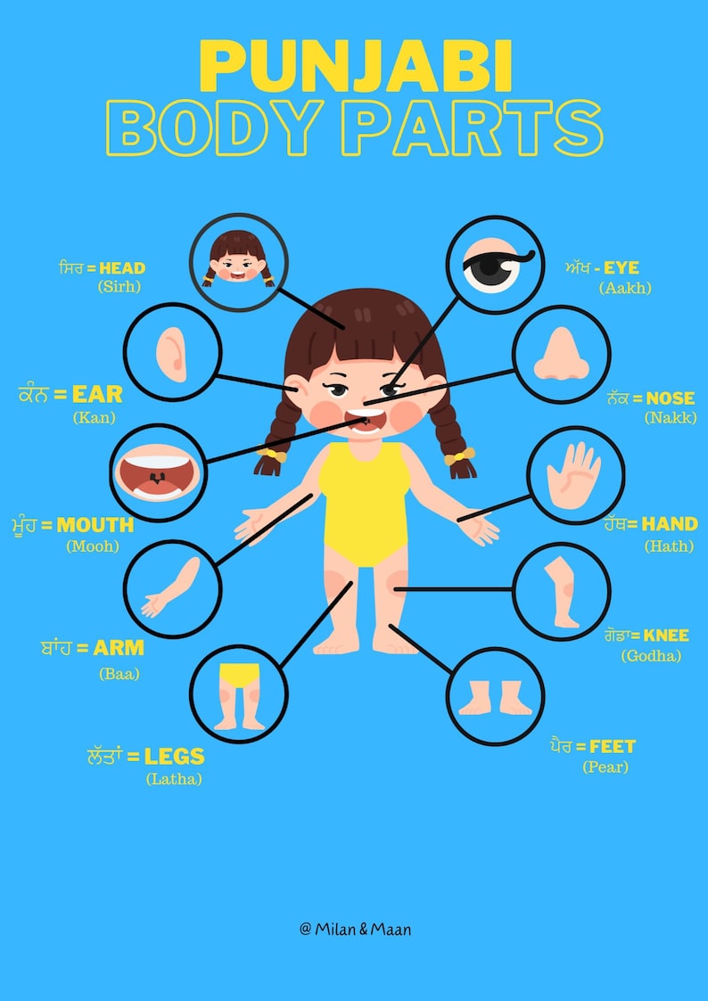 A3 Punjabi Body Parts Poster for Children, Digital, Learn Punjabi ...