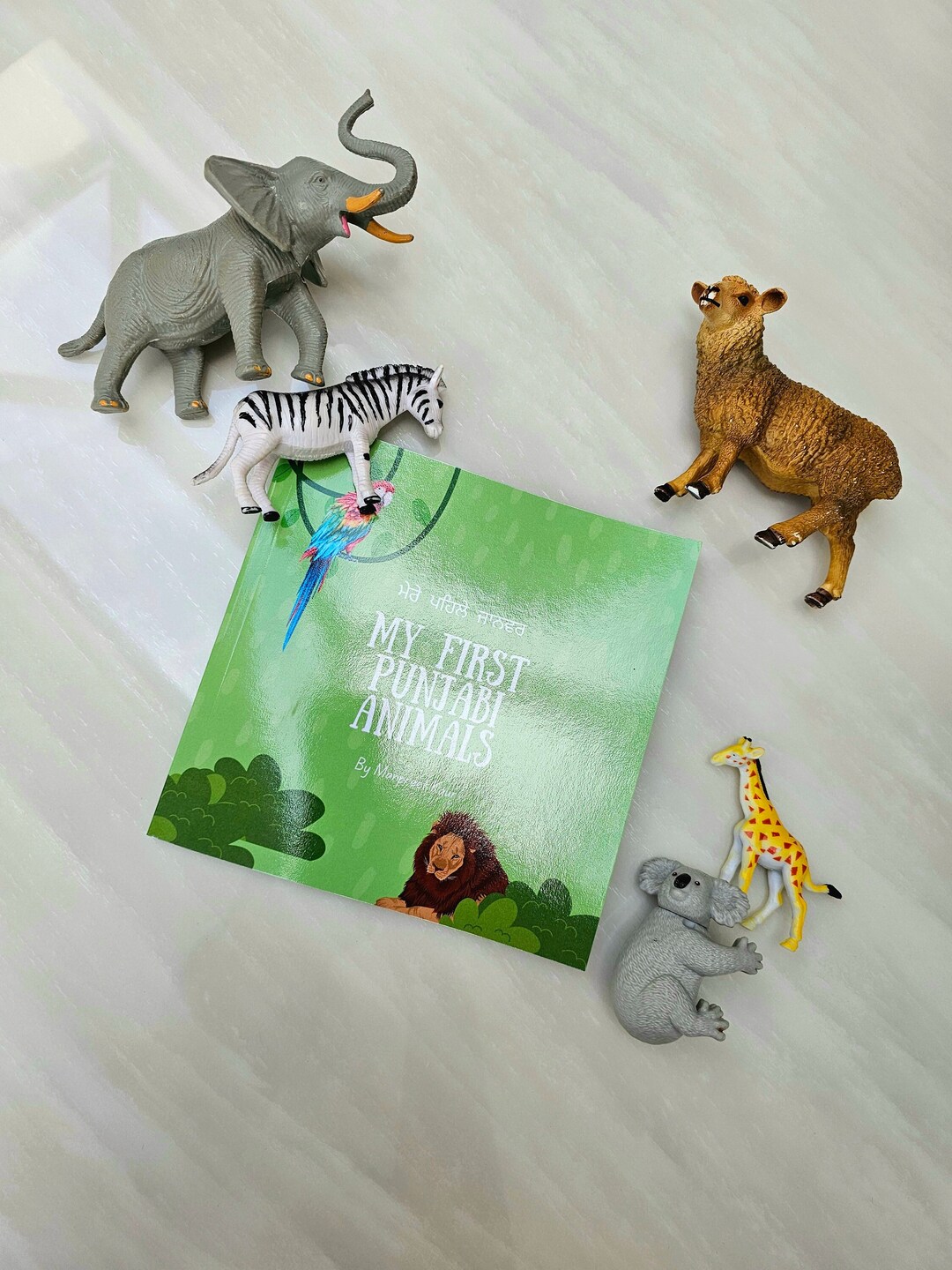 My First Punjabi Animals Children's Book, Paperback, Learn Animal Names ...