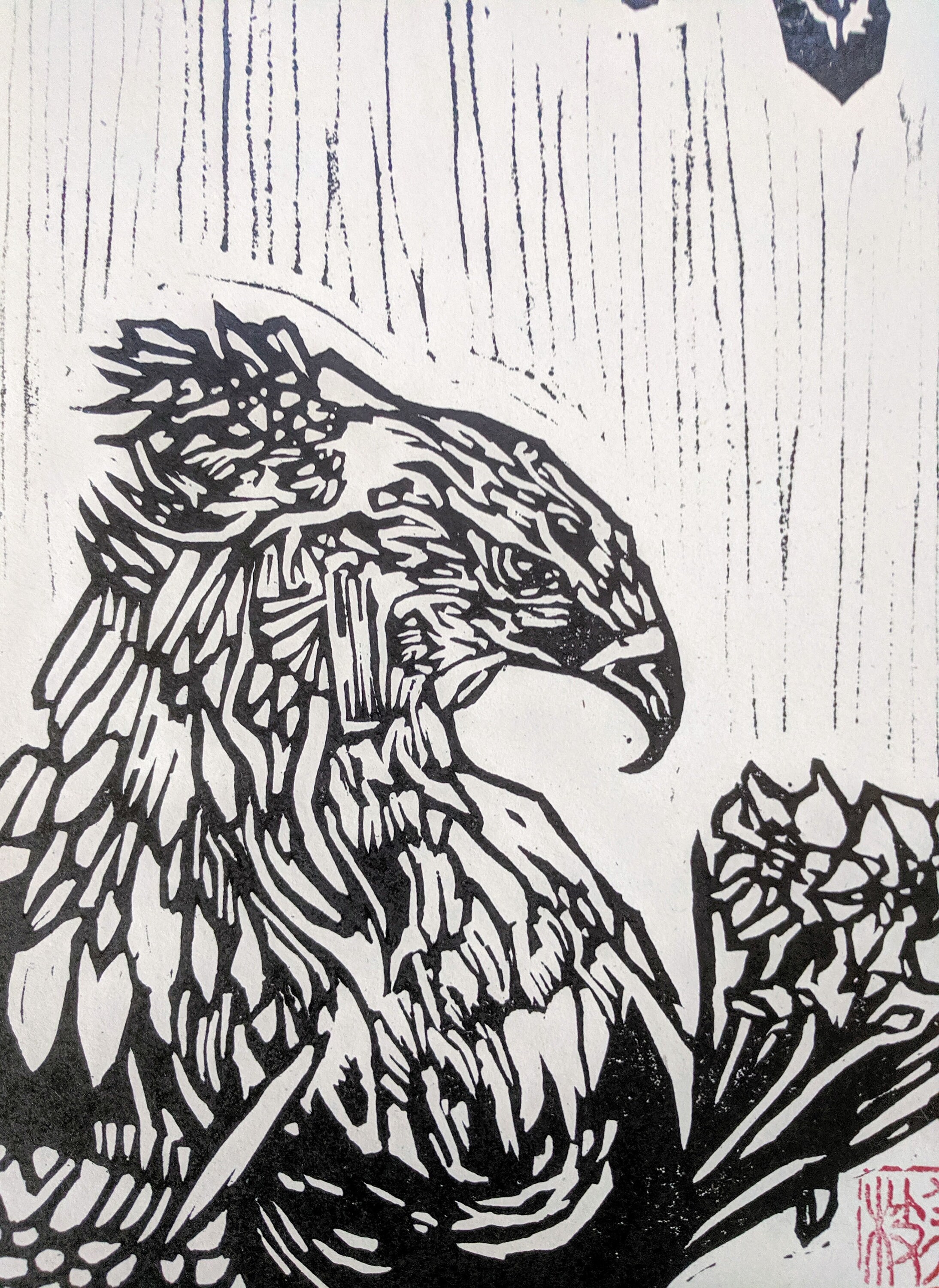 California Common Black Hawk, Clover, Poppy - Etsy