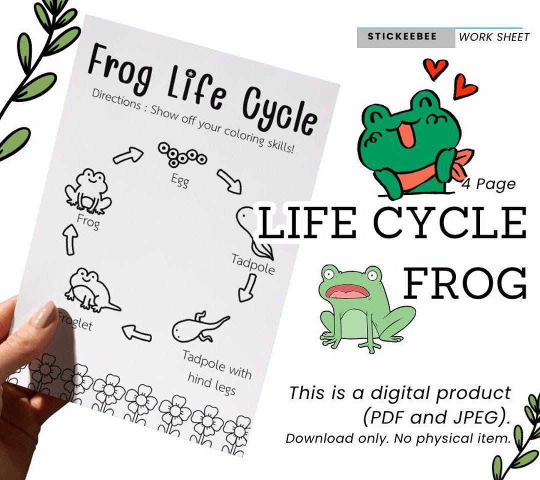 2 Page Frog Lifecycle Worksheet Coloring Sheet, Digital Download ...