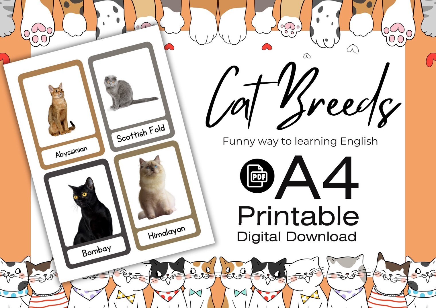 Cat Breeds | Animal Flashcards | Flashcards | Preschool Memory Game ...