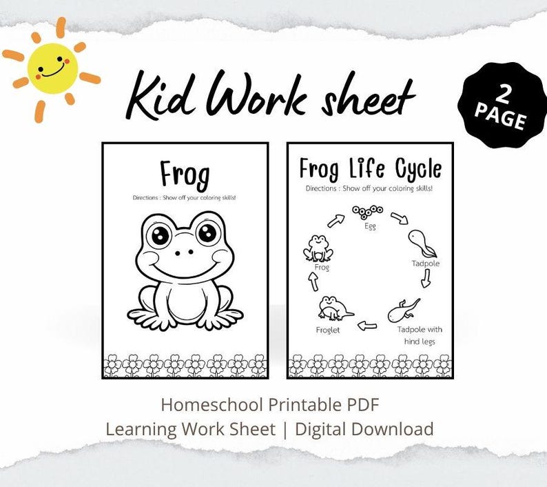 2 Page Frog Lifecycle Worksheet Coloring Sheet, Digital Download ...