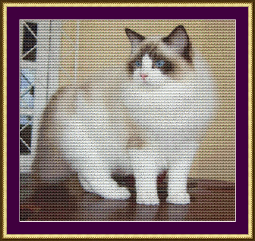 Ragdoll - Counted Cross Stitch Pattern - Etsy