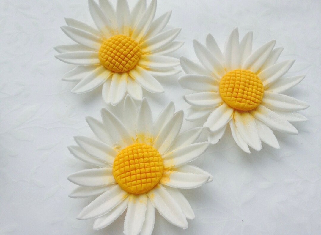 12 Gerbera Daises II Gum Paste Daisy Gumpaste Daisy Fondant Daisy ...