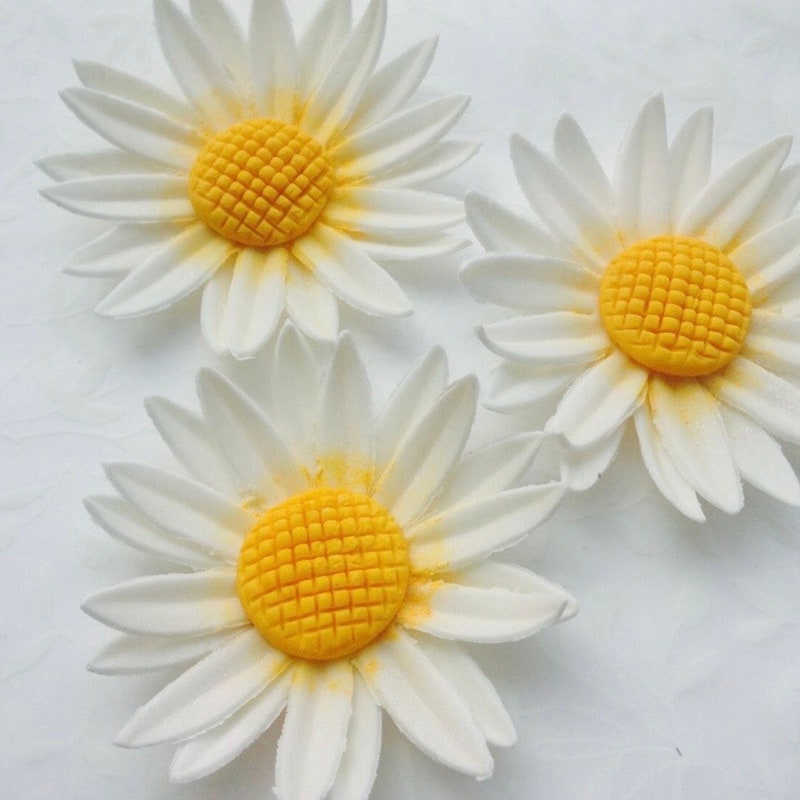 Gumpaste Cake Topper - Etsy