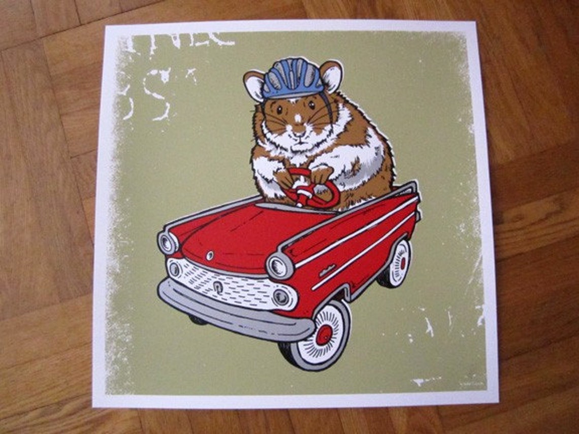 Hamster Guinea Pig Hot Rod Red Car Safety First Helmet Critter Silk ...