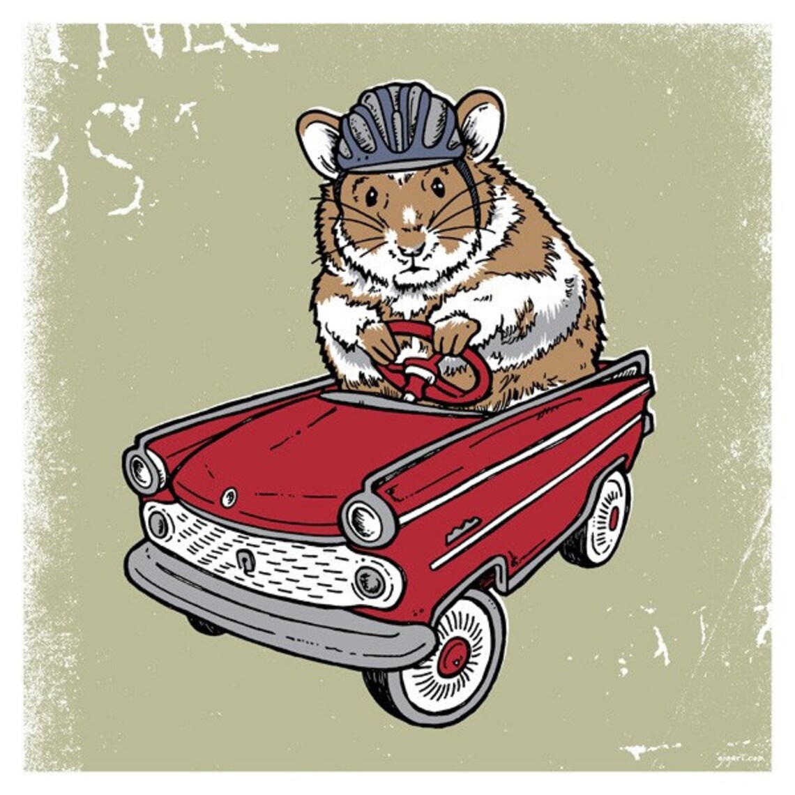 Hamster Guinea Pig Hot Rod Red Car Safety First Helmet Critter Silk ...