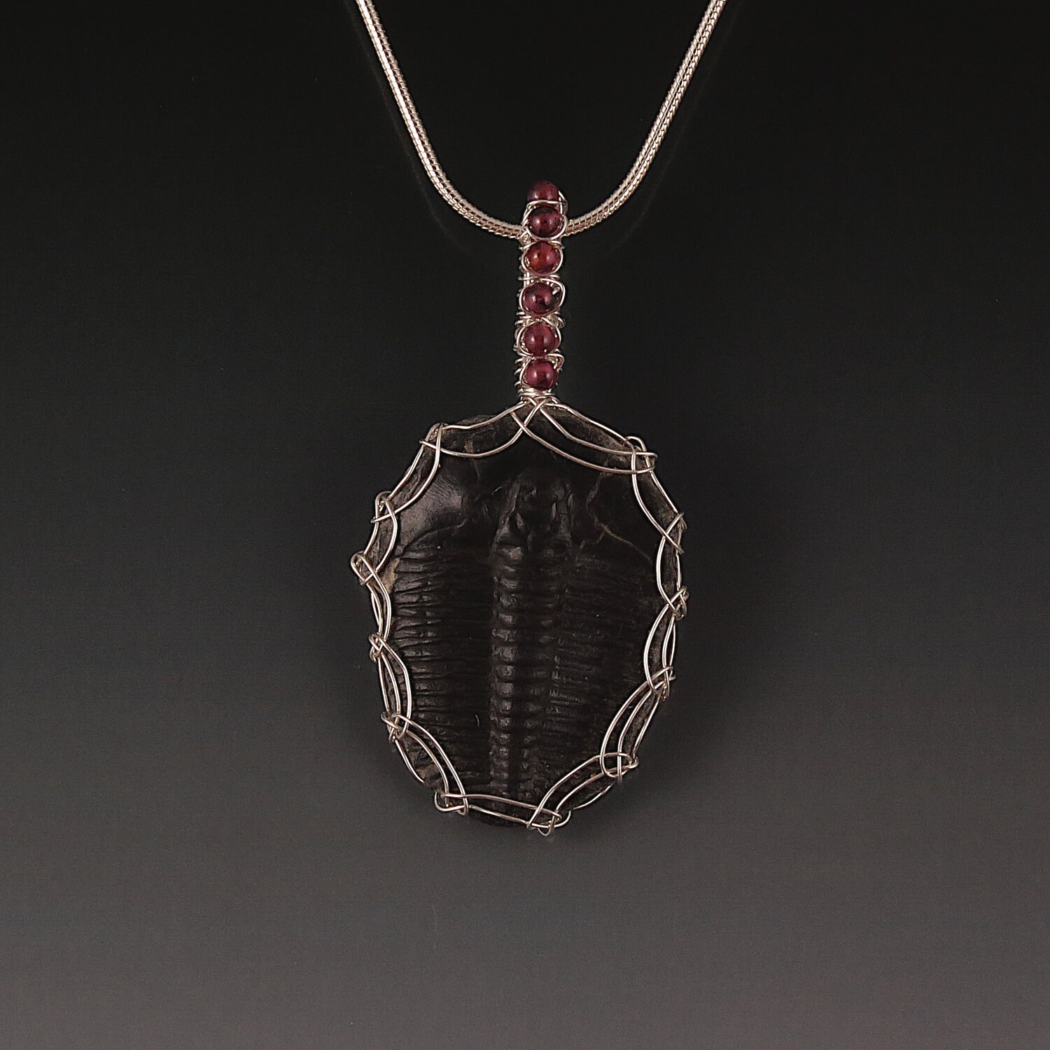 Trilobite Fossil Pendant Necklace Sterling Silver Viking Knit Wire ...