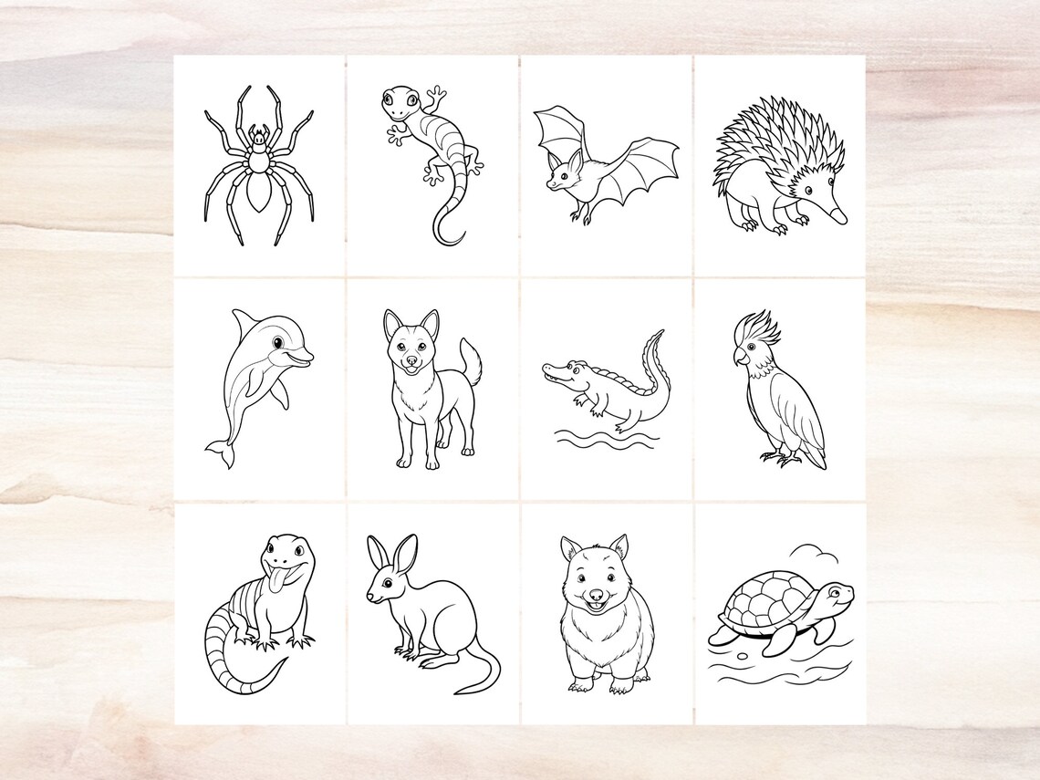 26 Australian Animals Coloring Pages | Easy Coloring for Kids ...