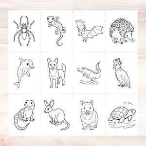 26 Australian Animals Coloring Pages | Easy Coloring for Kids ...