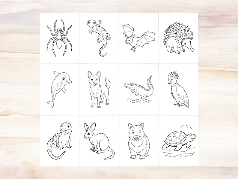 Australian Animals Coloring Pages: Easy Kids Activity (printable PDF ...