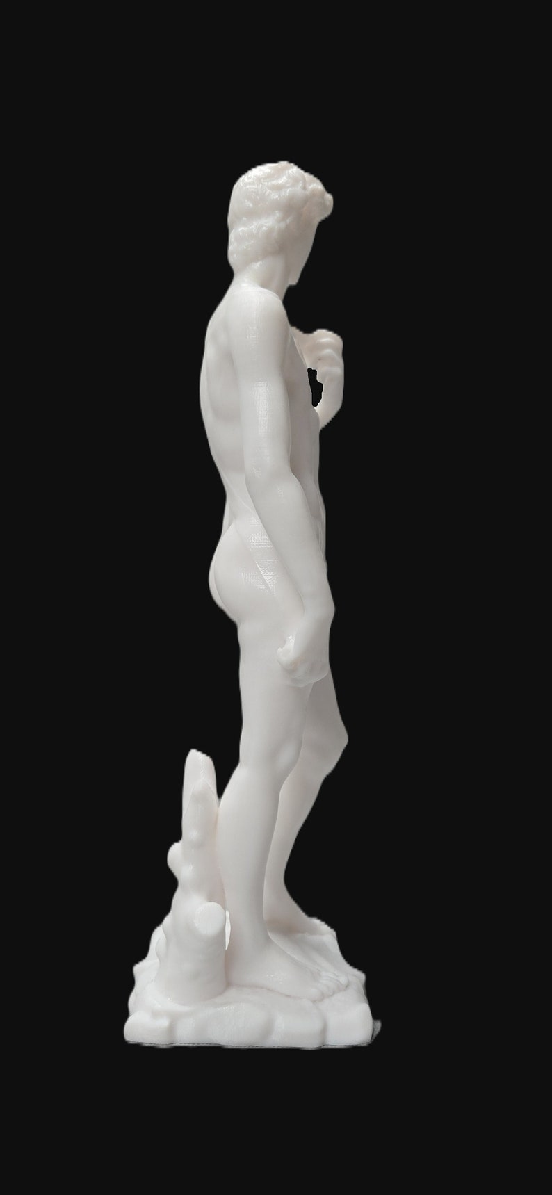 Statue of David by Michelangelo - Etsy