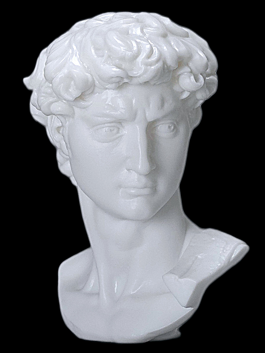 Bust. Head of David. Michelangelo - Etsy