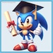 Sonic Graduation PNG Image, Clipart Images, Graphics and Artwork, PNG ...