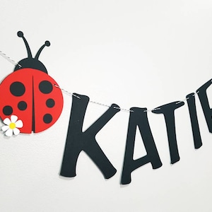 Ladybug Name Banner. Ladybug Birthday Banner. Ladybug Party | Etsy