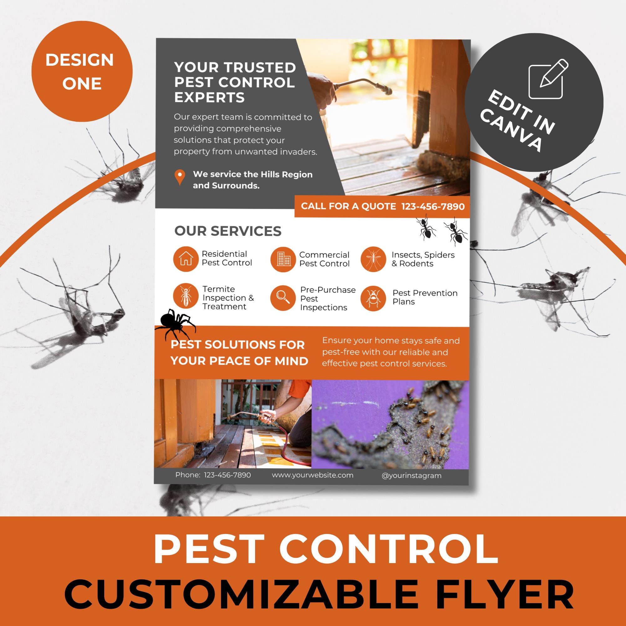Pest Control Business Flyer Templates, Pest Controller DIY Pamphlet ...