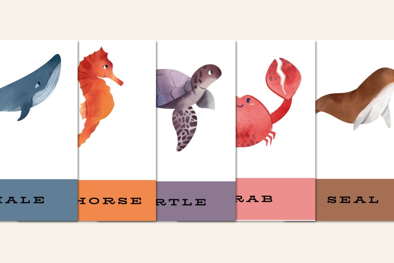 13 Ocean Animals Flash Cards, Sea Animals, Set of 13, Educational ...